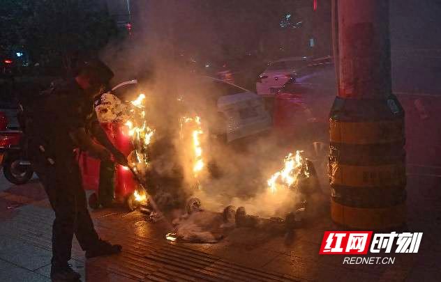 文章图片