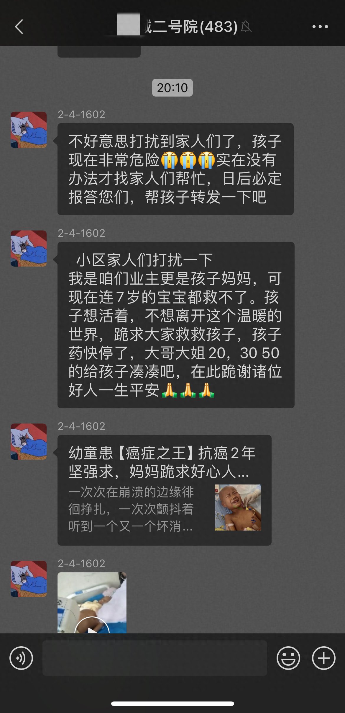 文章图片