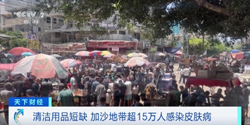 文章图片