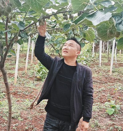 文章图片