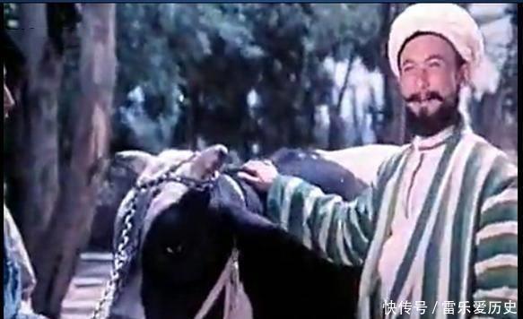 文章图片