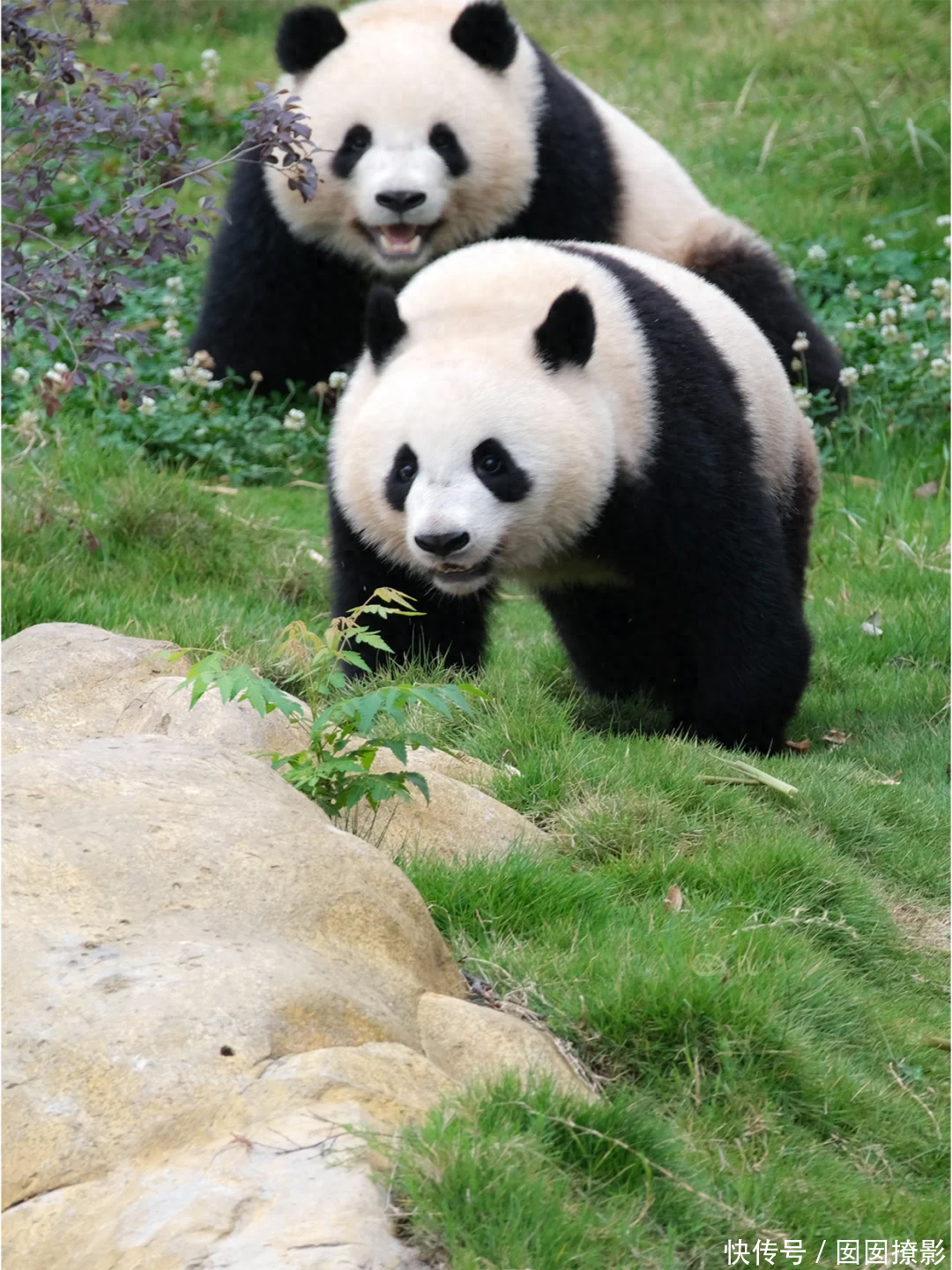 文章图片