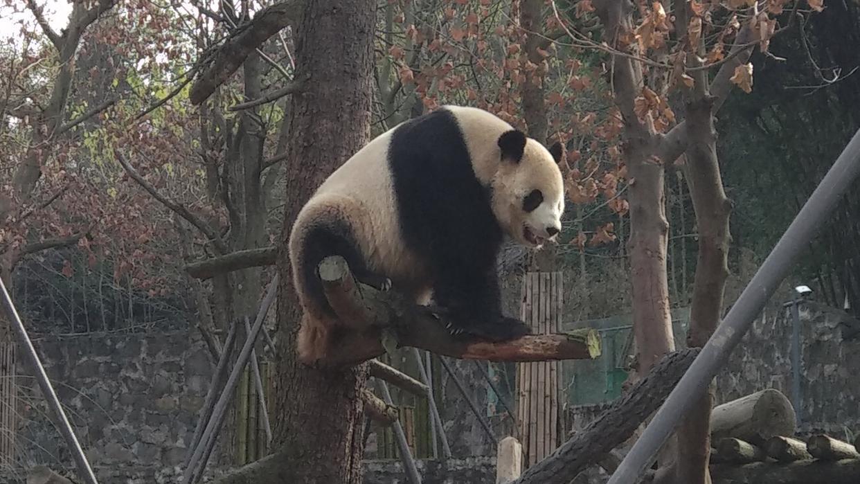 文章图片