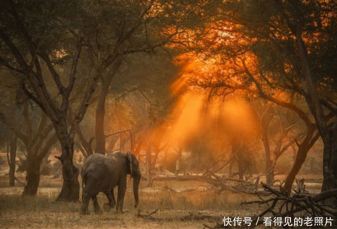 文章图片