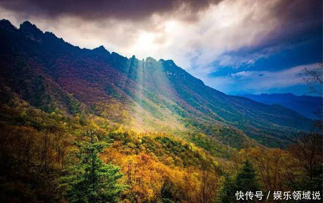 文章图片