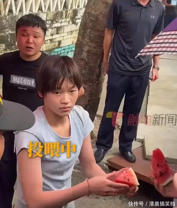 文章图片