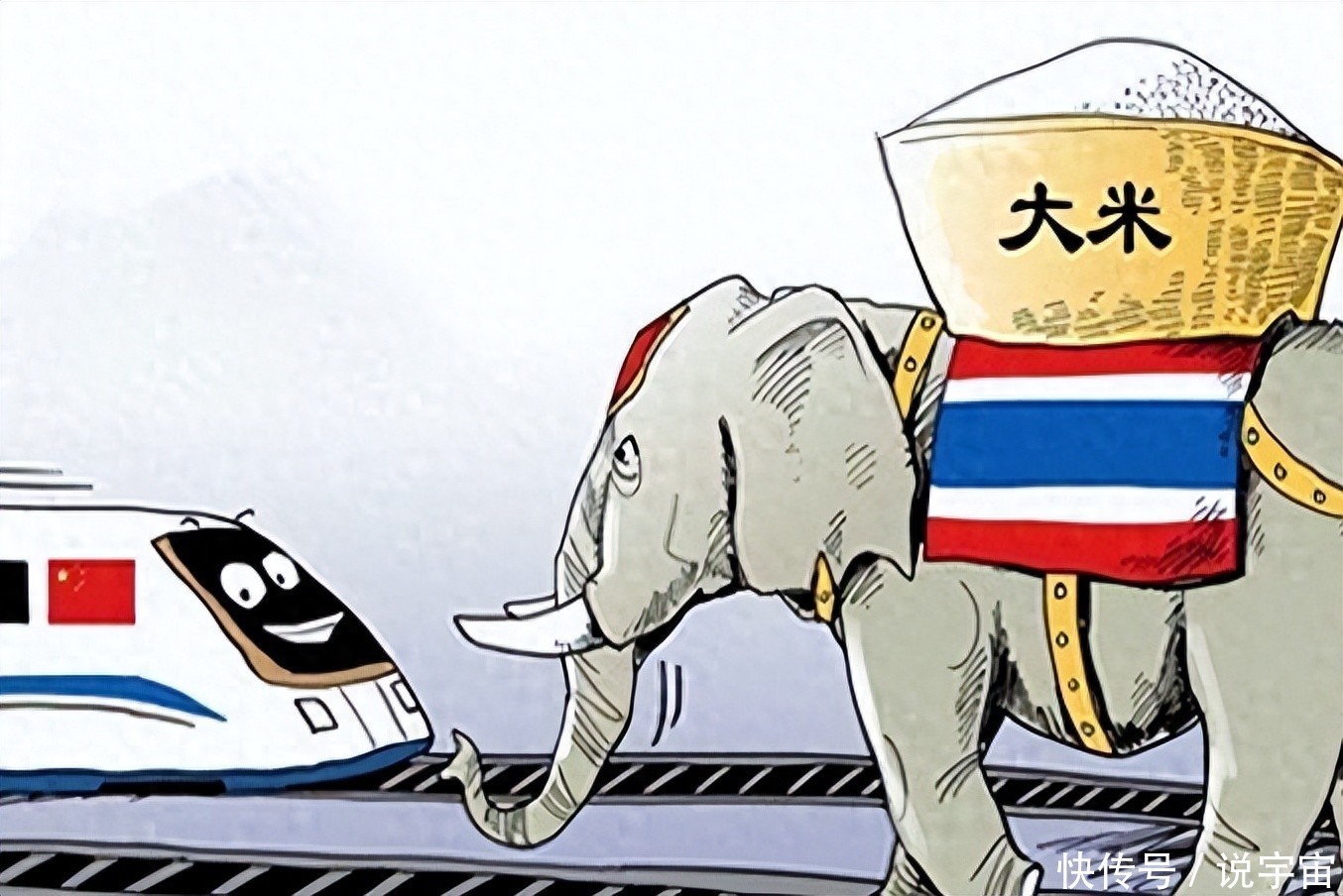 文章图片