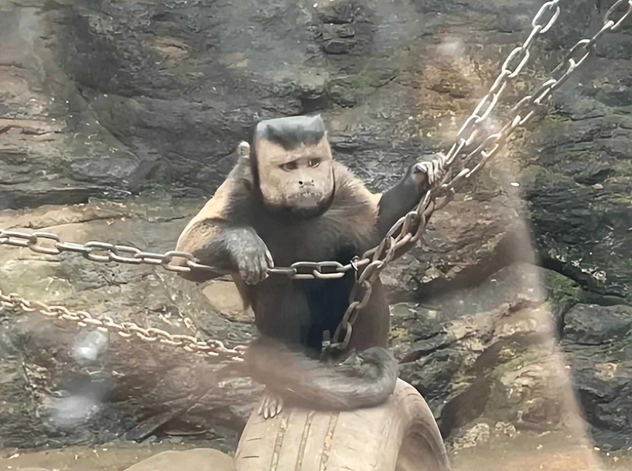文章图片