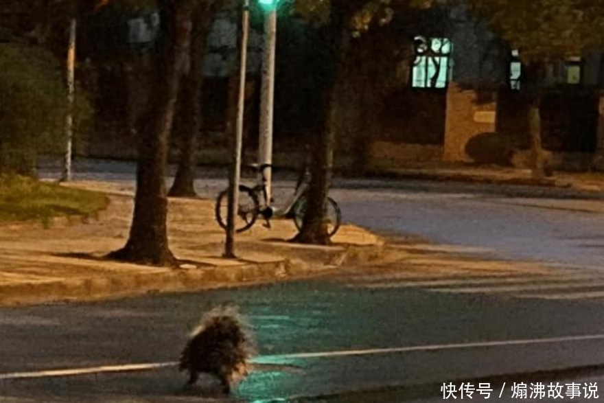 文章图片