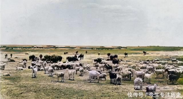 文章图片
