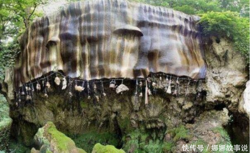 文章图片