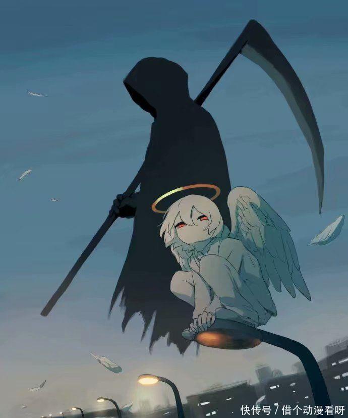 文章图片