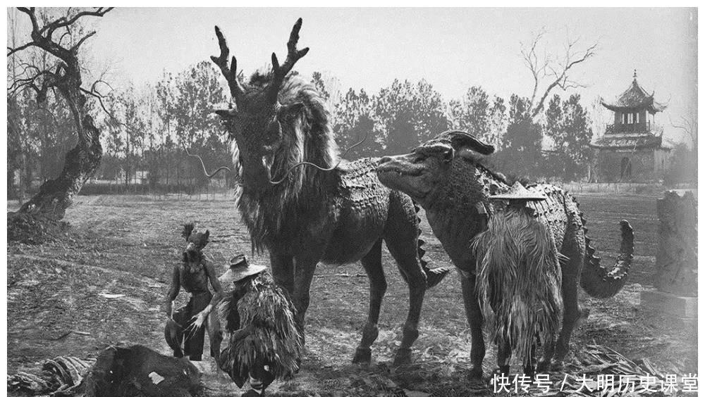 文章图片