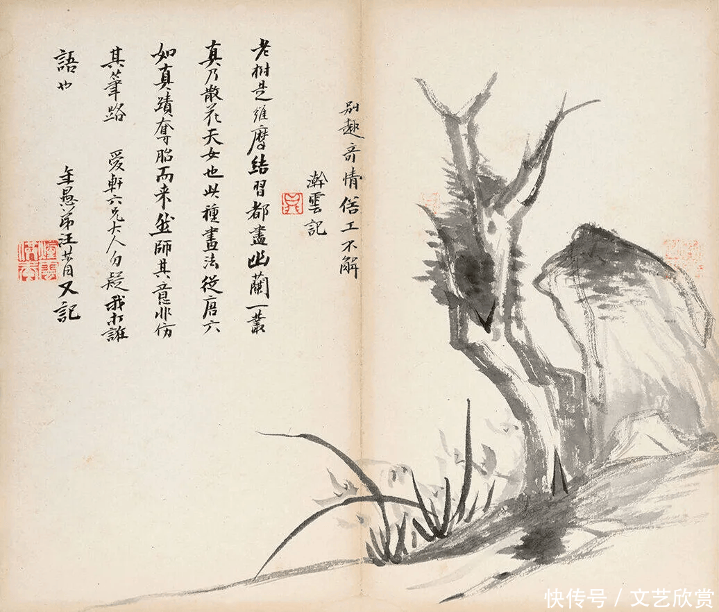 文章图片