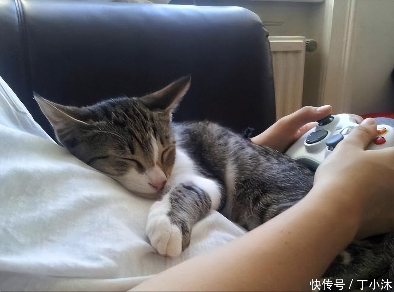文章图片