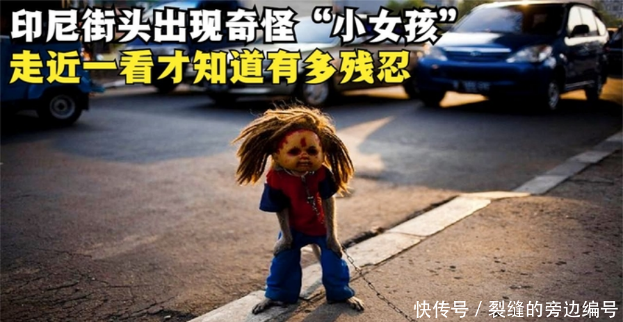 文章图片