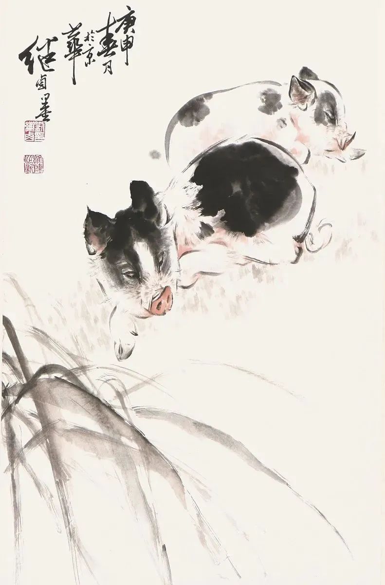 文章图片