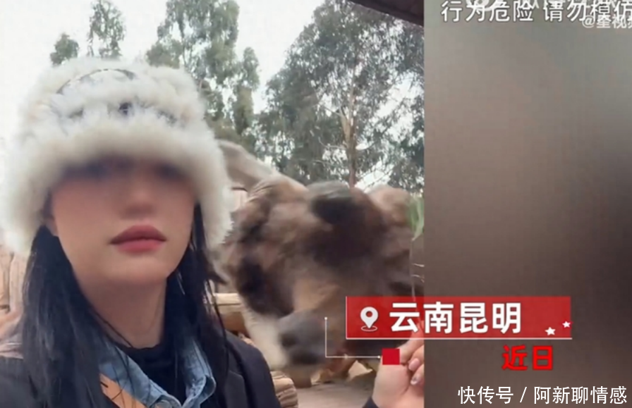 文章图片