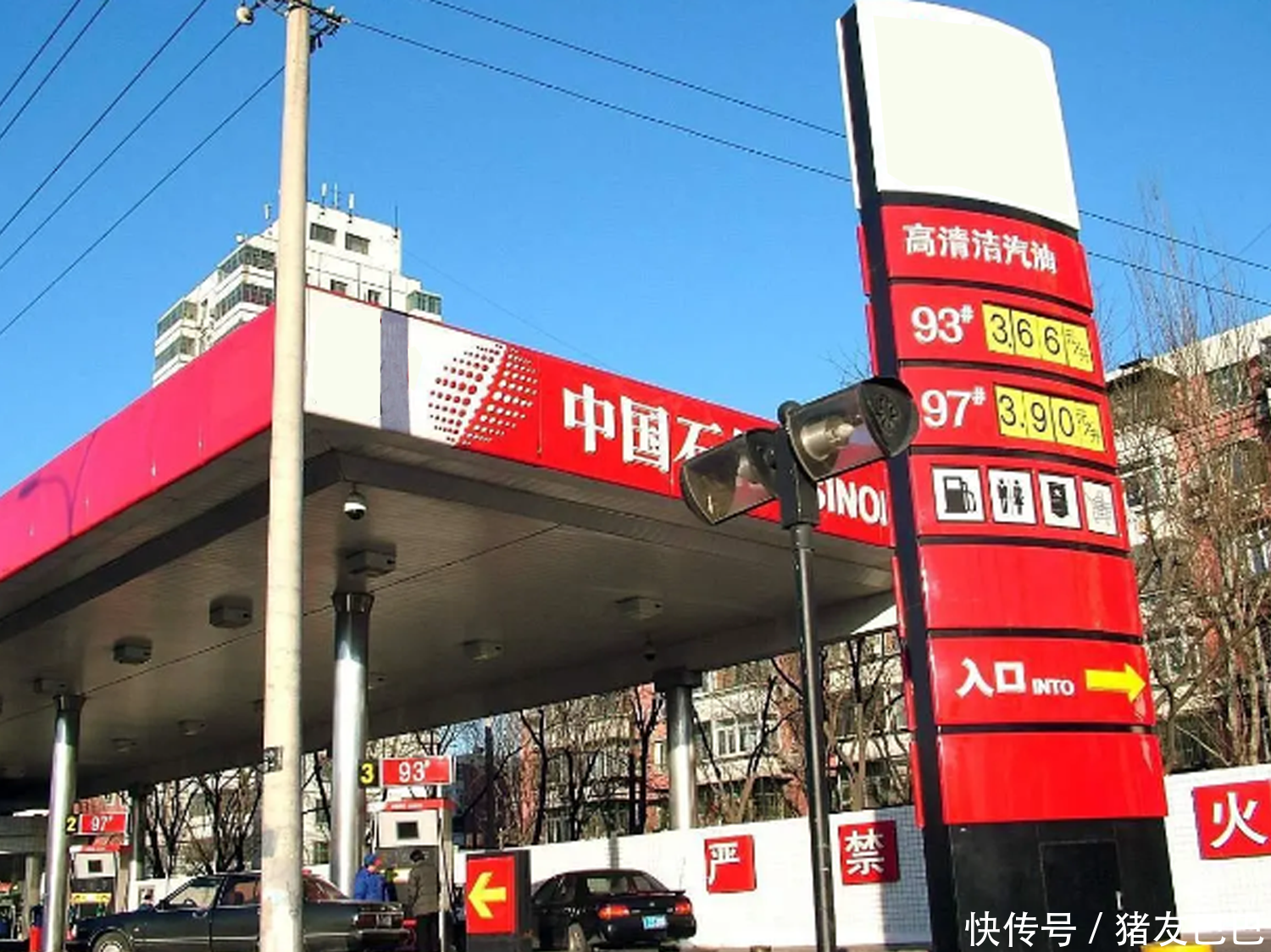 文章图片
