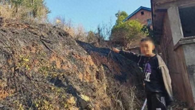 文章图片