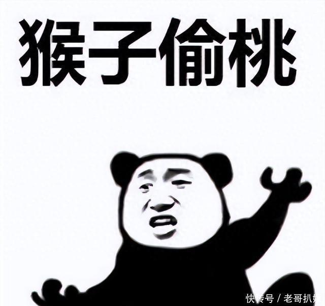 文章图片