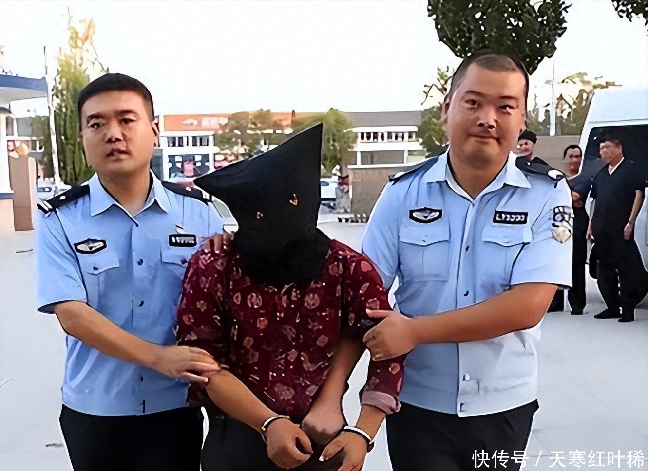 文章图片