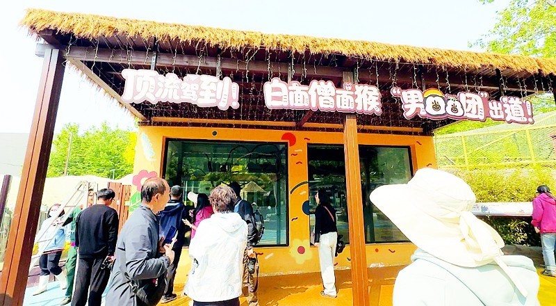 文章图片