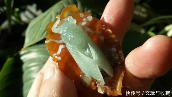 文章图片