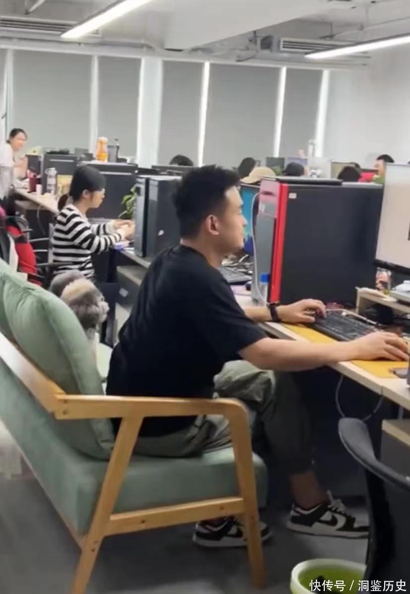 文章图片