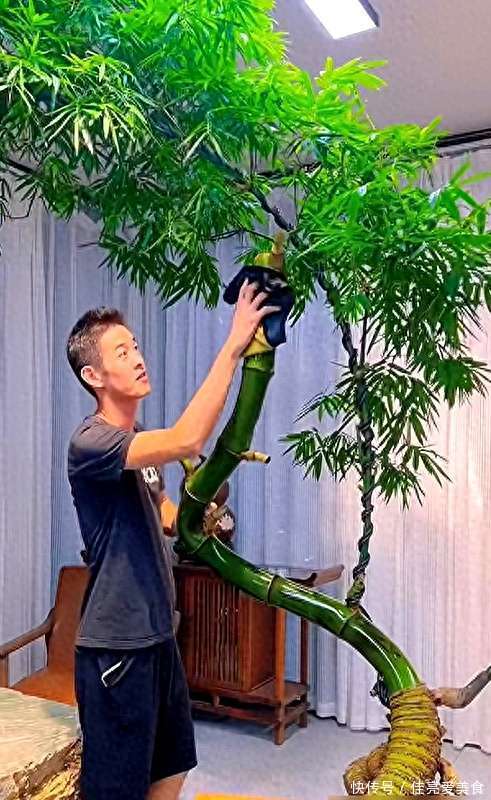 文章图片