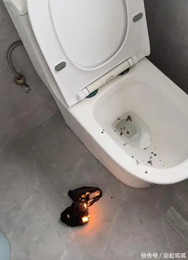 文章图片