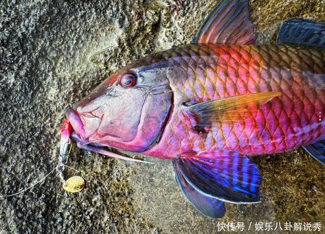 文章图片