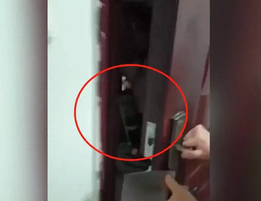 文章图片