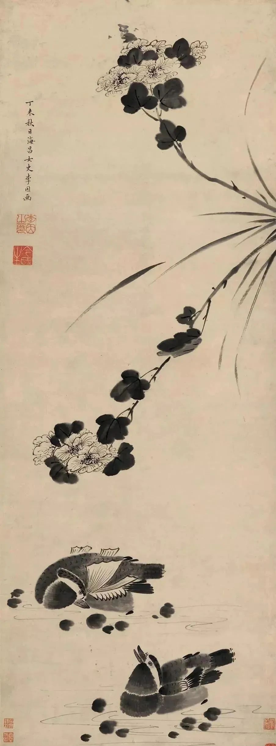 文章图片