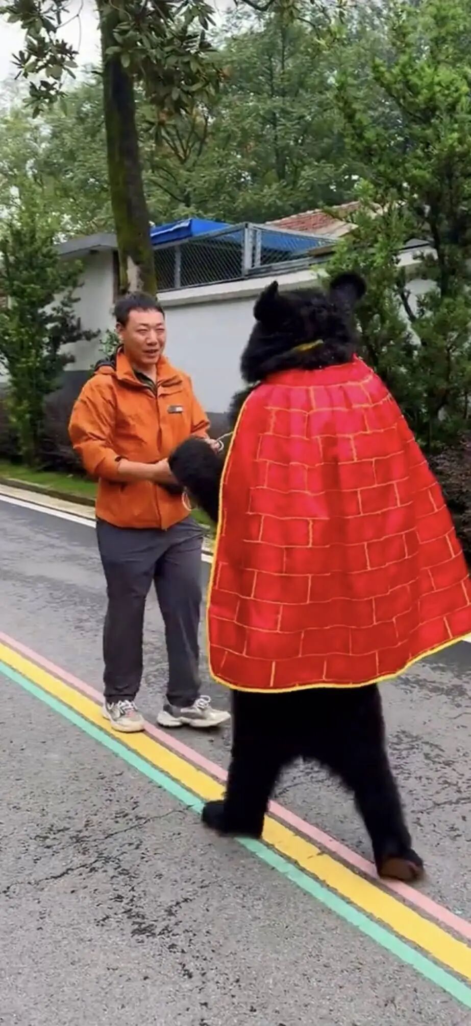 文章图片