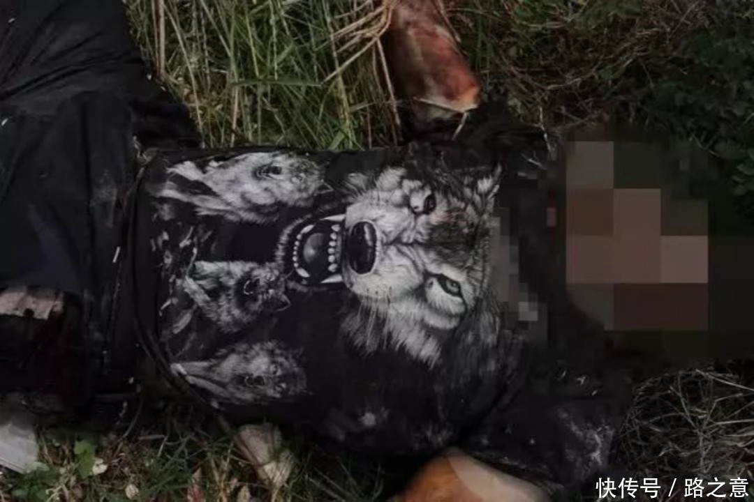 文章图片