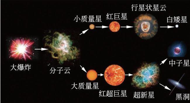 文章图片