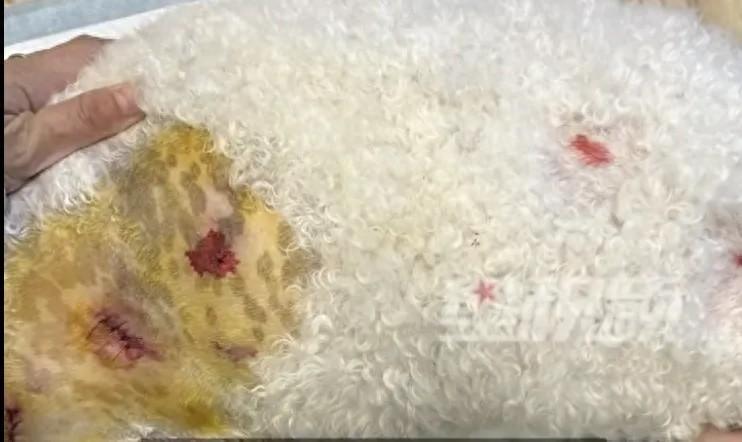 文章图片