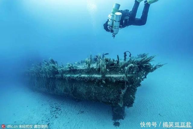 文章图片