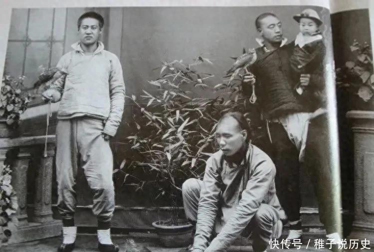 文章图片