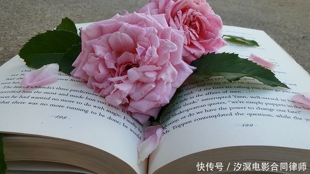 文章图片