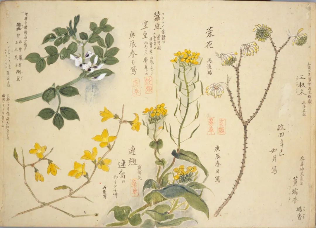 文章图片