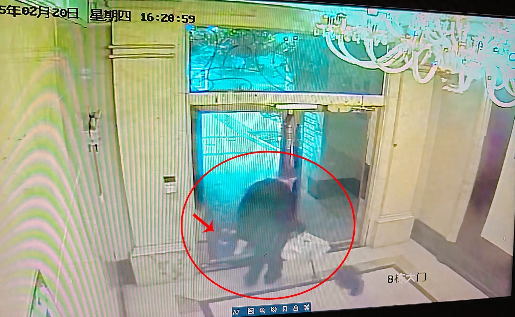 文章图片