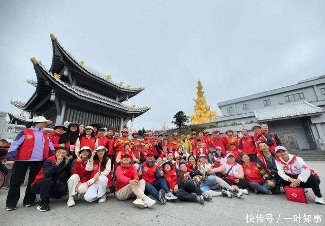 文章图片