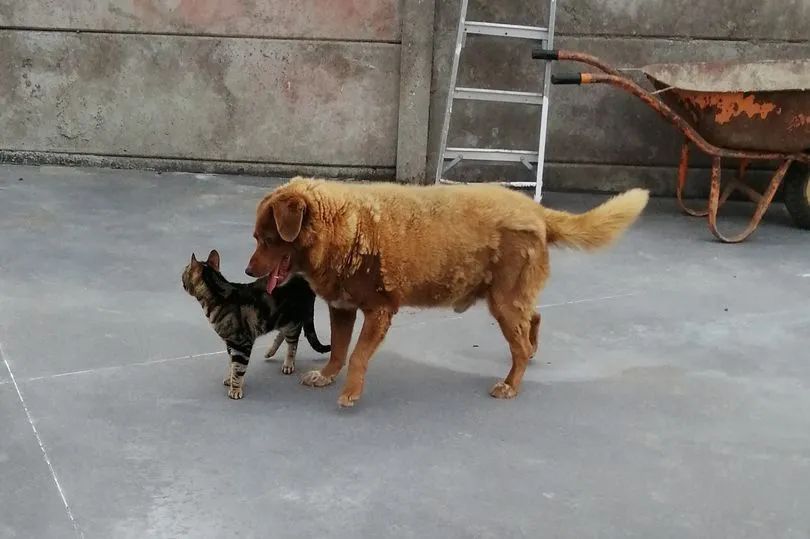 文章图片