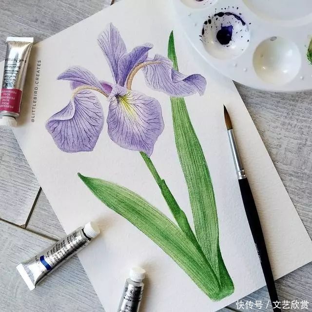 文章图片