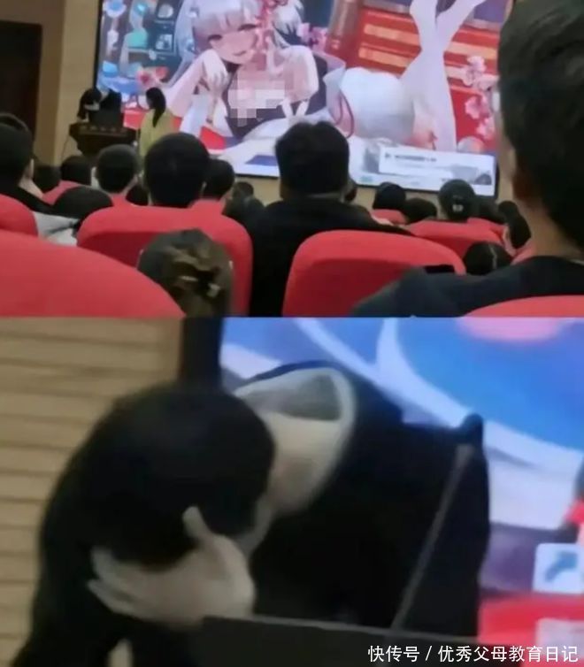 文章图片