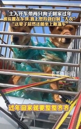 文章图片