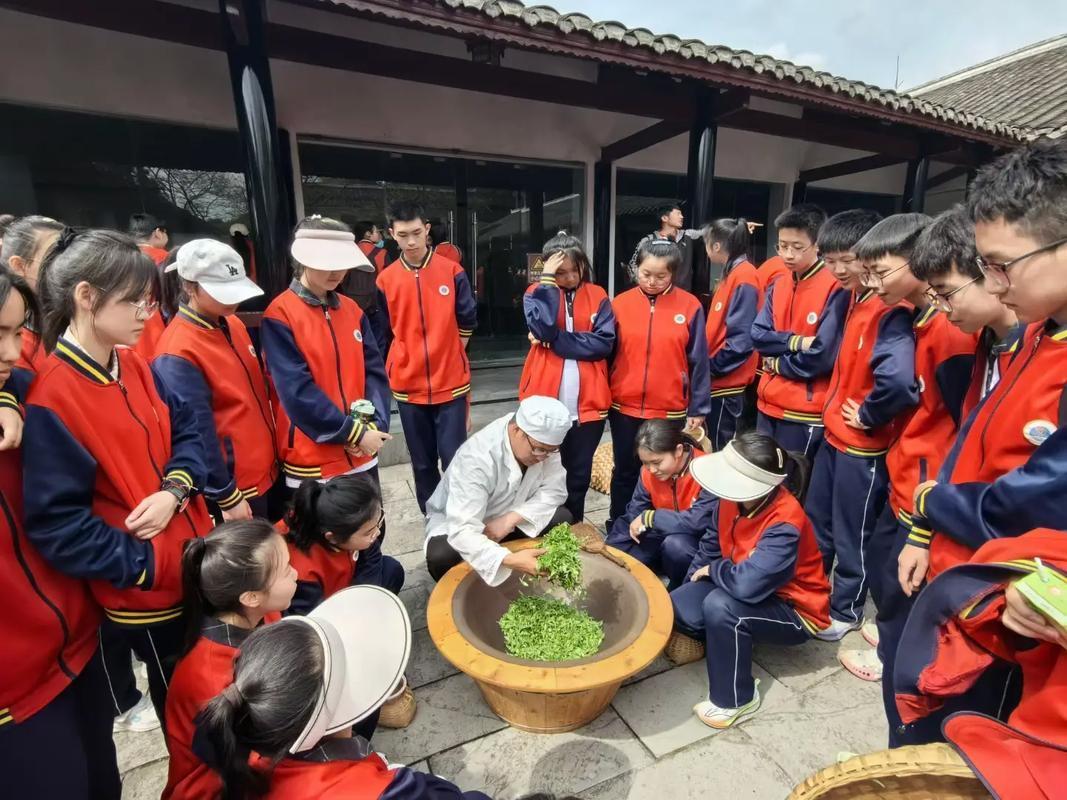 文章图片