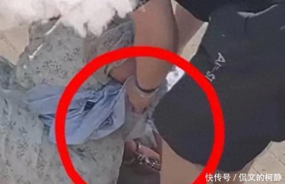 文章图片